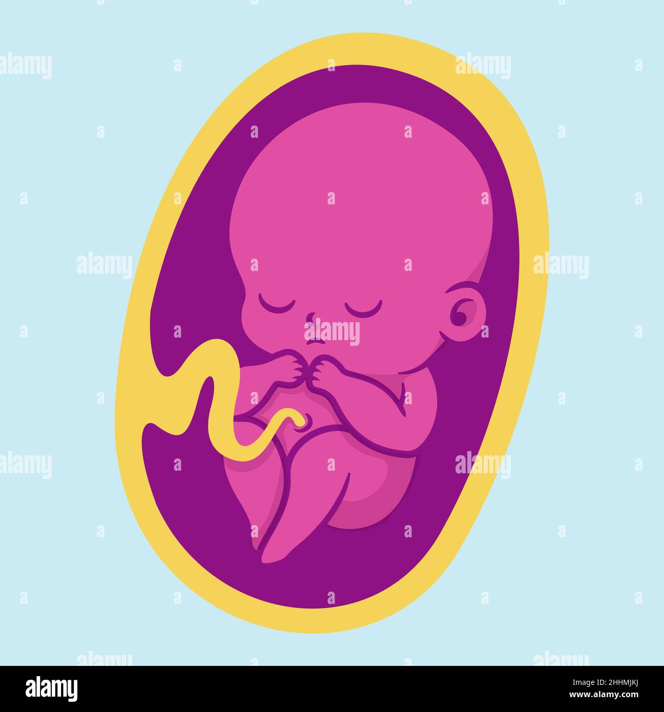 Hand drawn fetus illustration Vector illustration Stock Vector Image ...
