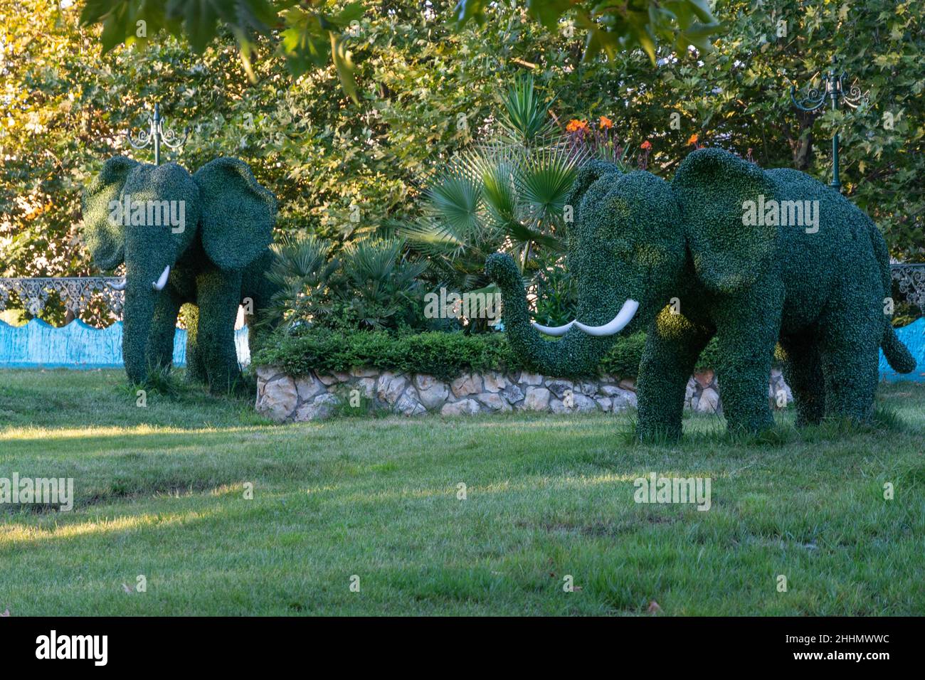 Animal elephant shaped hedge at the Castle in Ravadinovo, Bulgaria ...