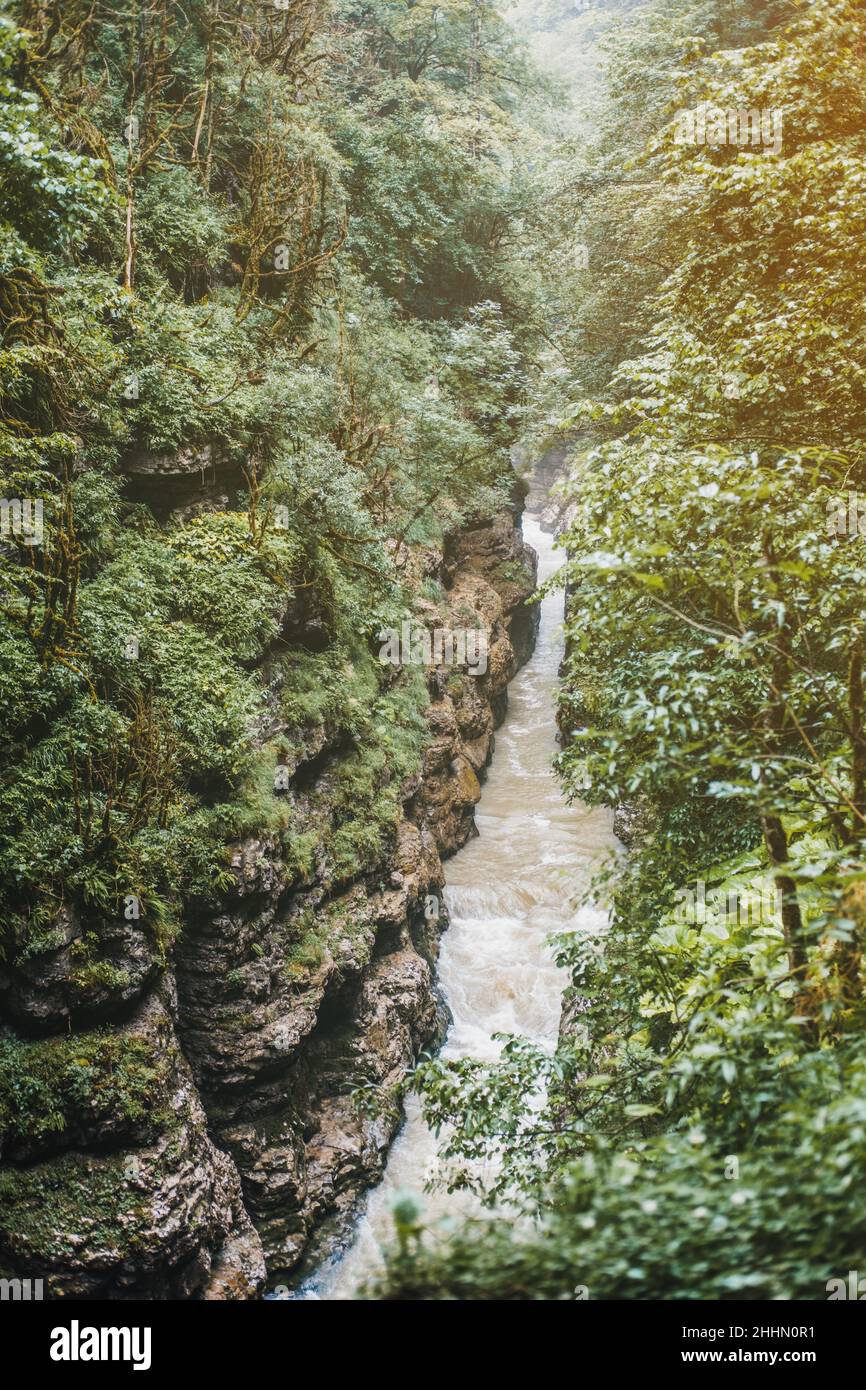 River among trees hi-res stock photography and images - Alamy