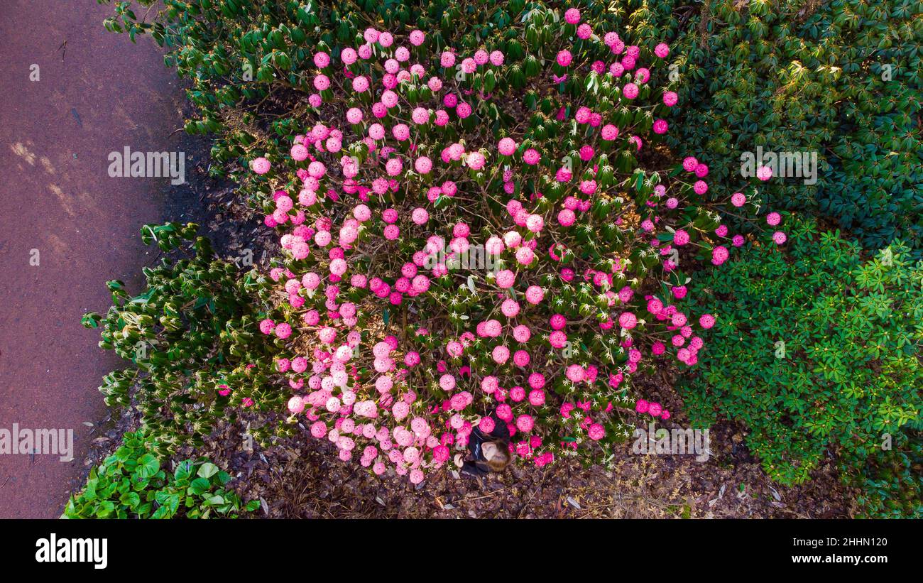 Kirsty wilson hi-res stock photography and images - Alamy