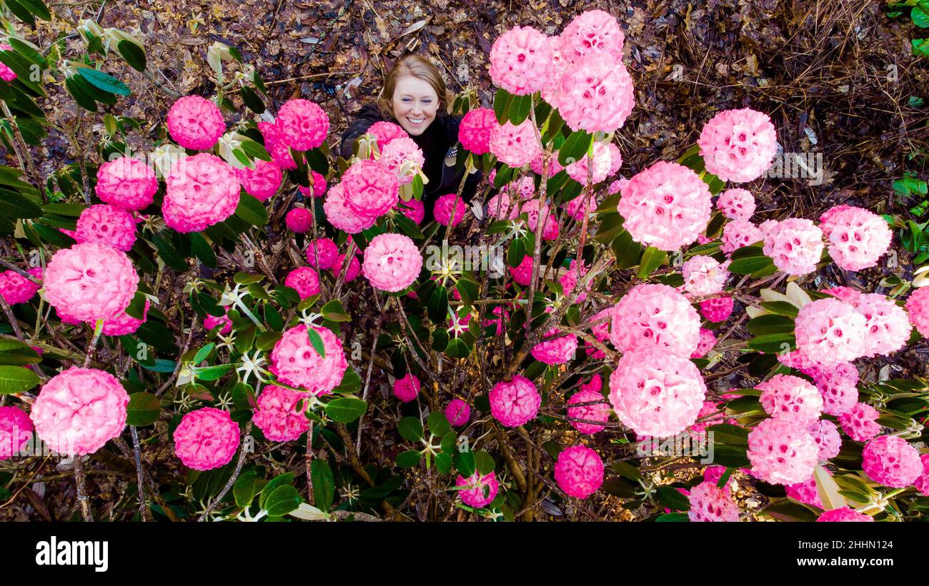 Kirsty wilson hi-res stock photography and images - Alamy