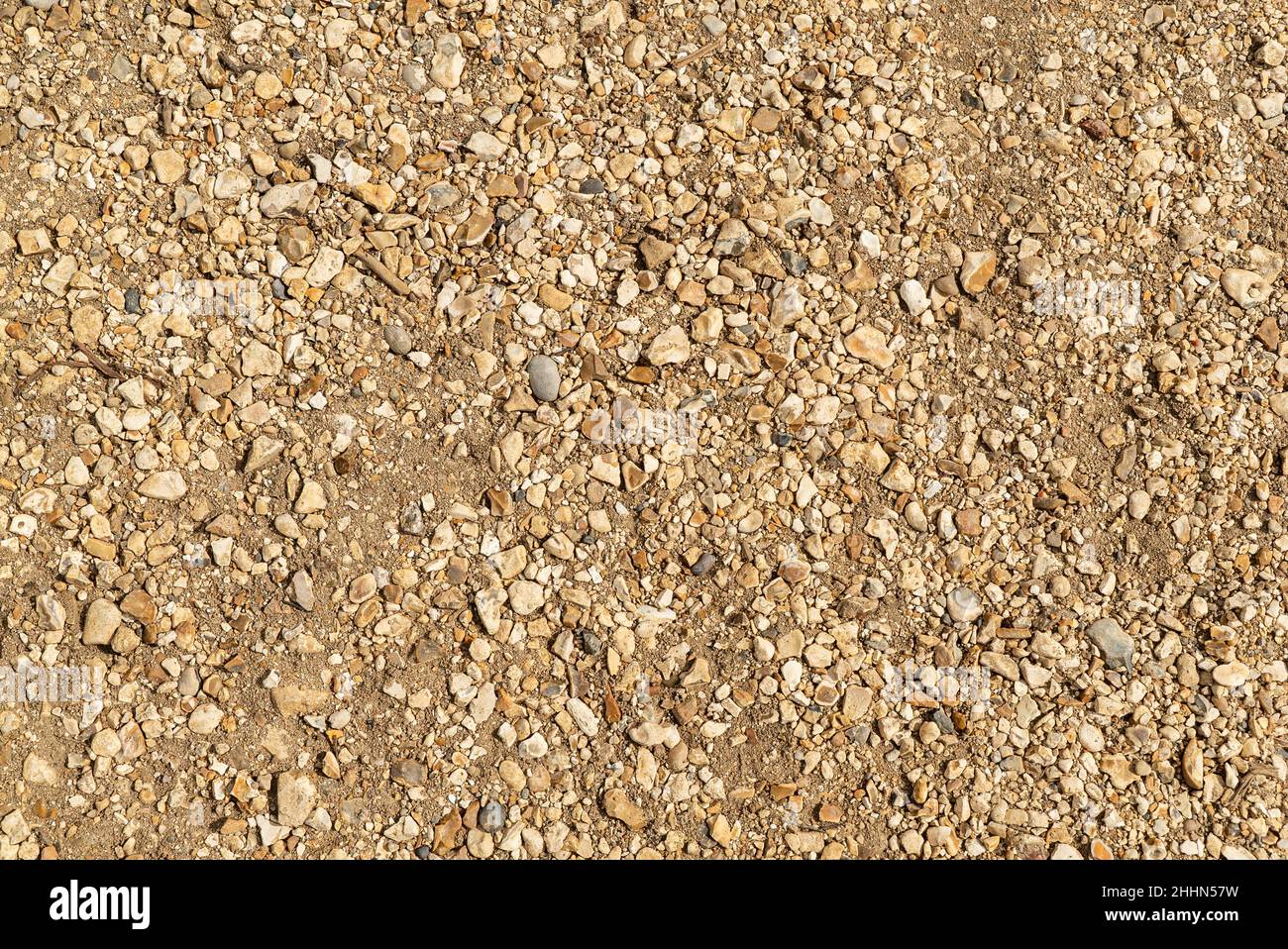 Fossils in stone found on the Jurassic Coast Stock Photo - Alamy
