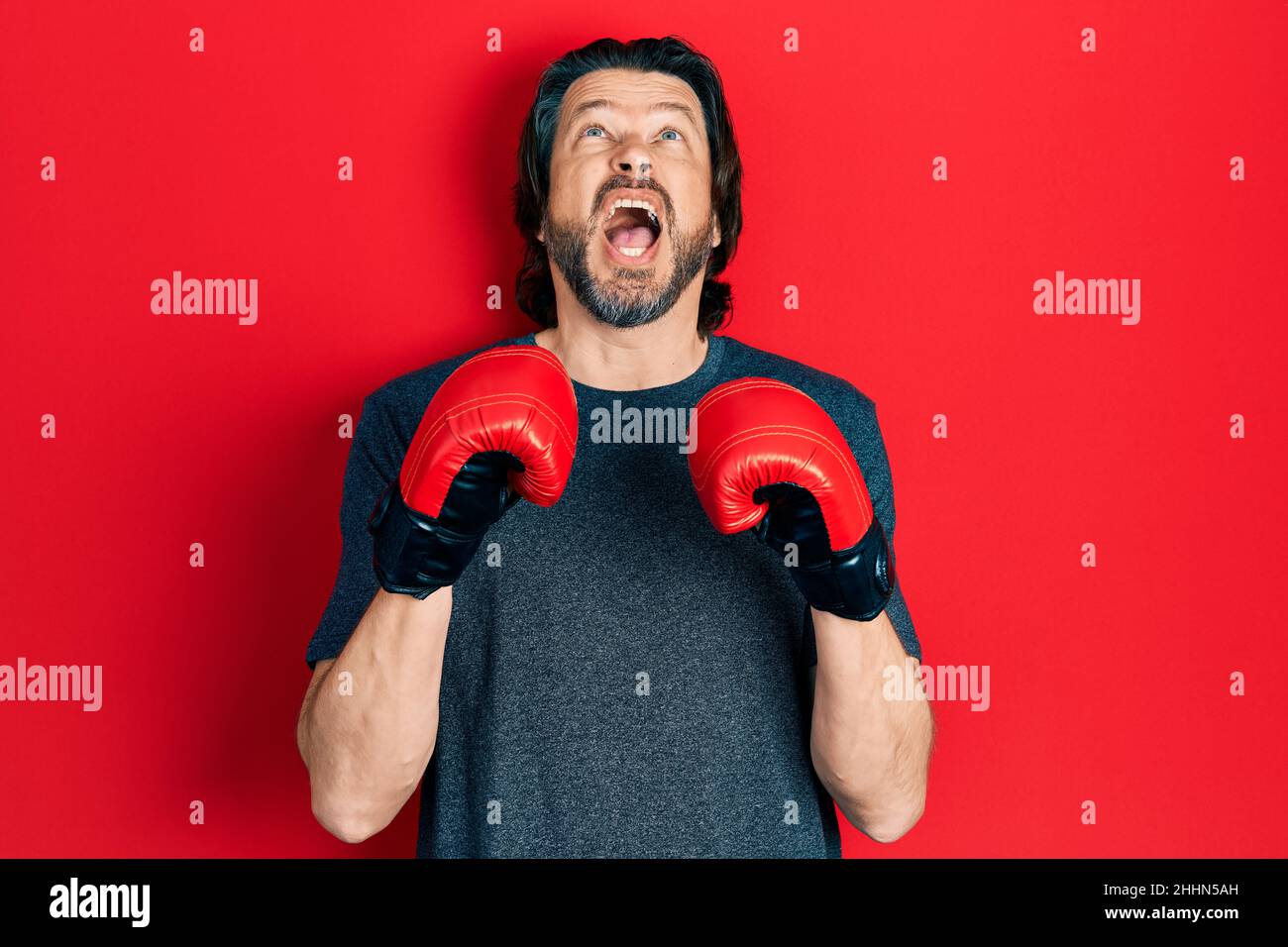 Middle age caucasian man using boxing gloves angry and mad screaming ...