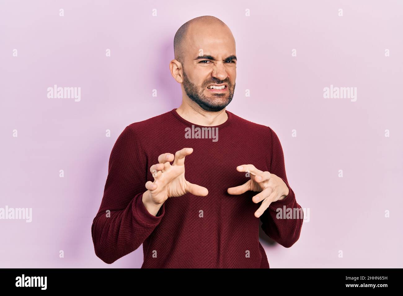 Young bald man wearing casual clothes disgusted expression, displeased ...