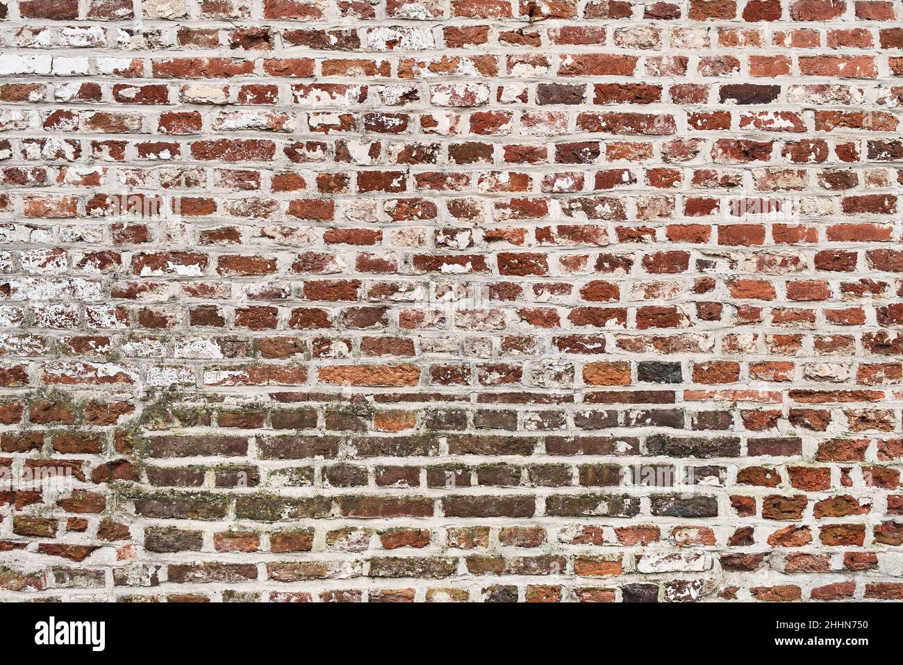Decay brick wall surface background Stock Photo - Alamy