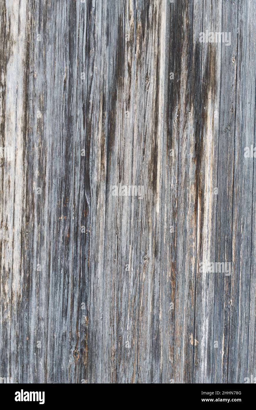 Perfect wood wall texture background Stock Photo - Alamy