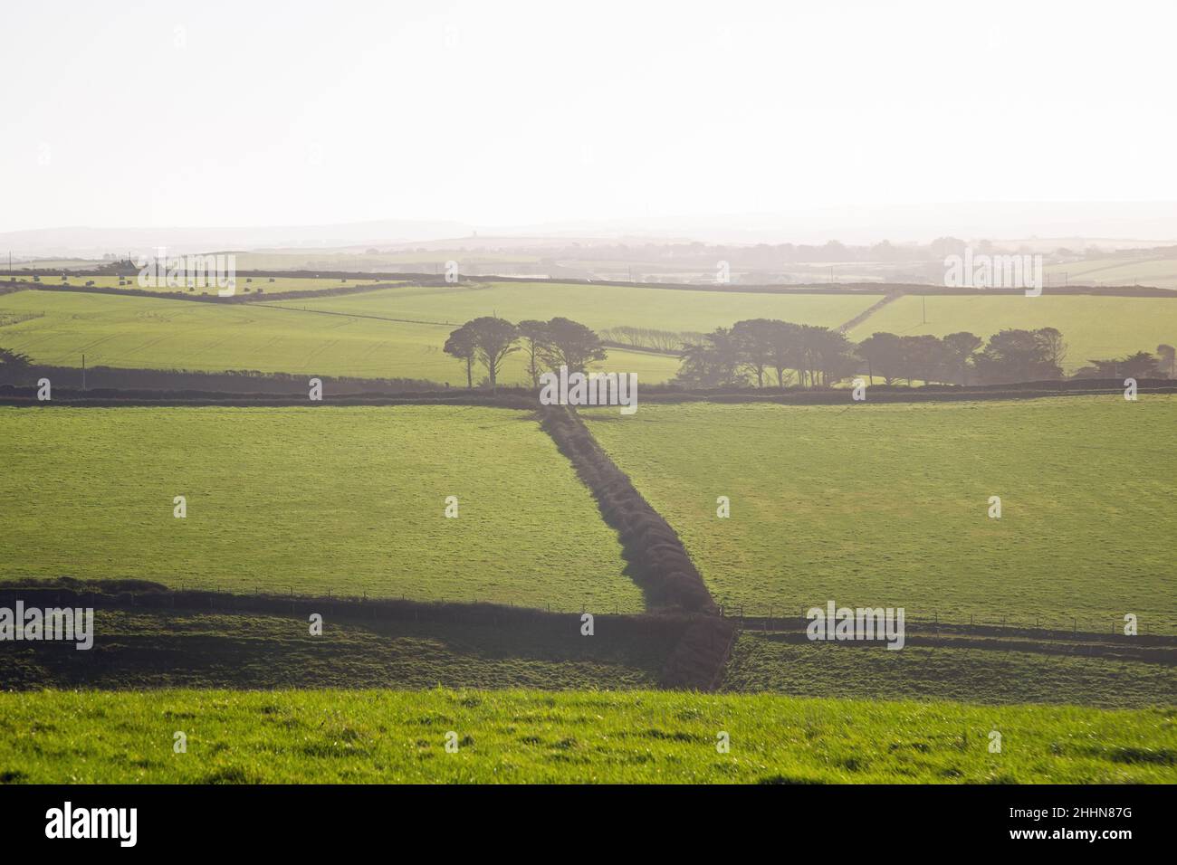 Rural scene at Cornwall, England, showing farm fields on a bright ...