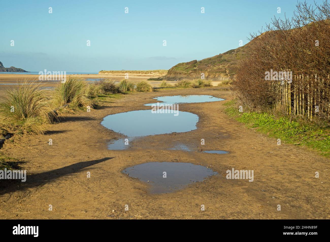 Seaside landscape showing sand and large puddles and grass Stock Photo ...