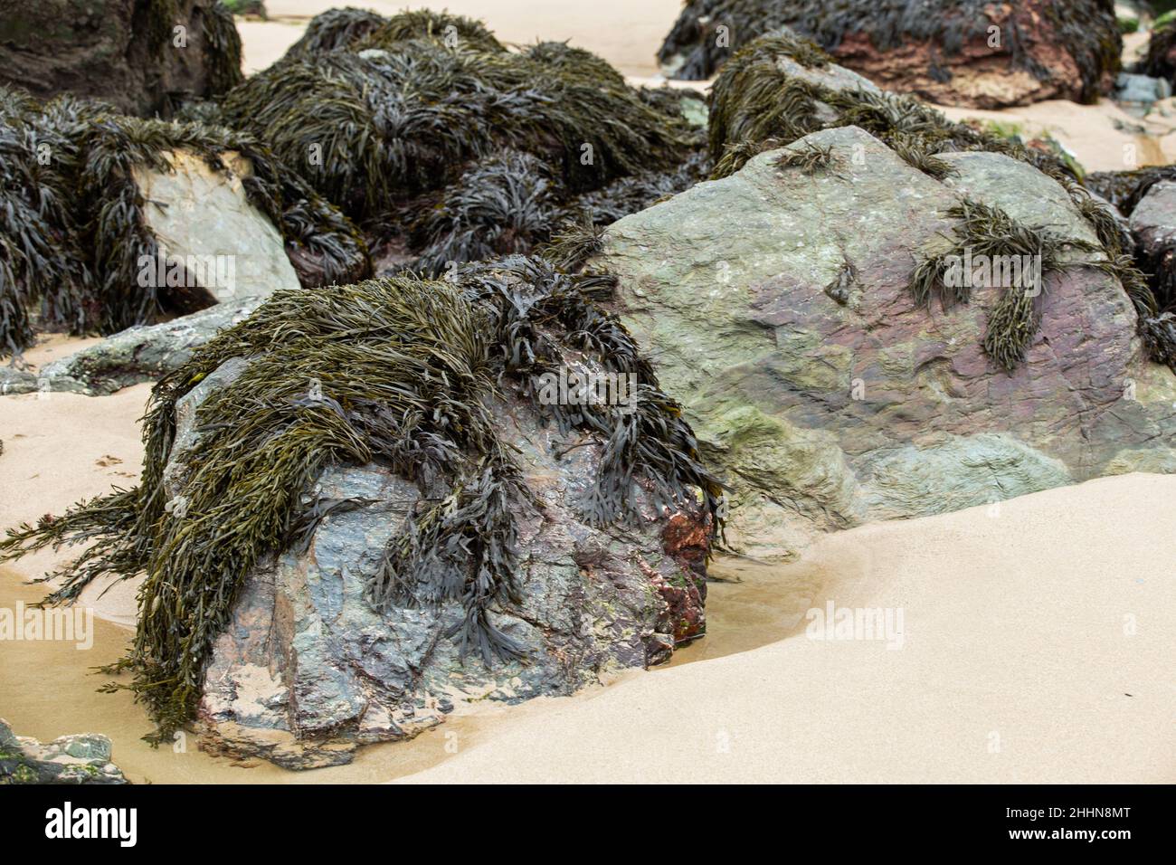 Rocks and stones on the beach at Watergate Bay, Cornwall, England Stock ...