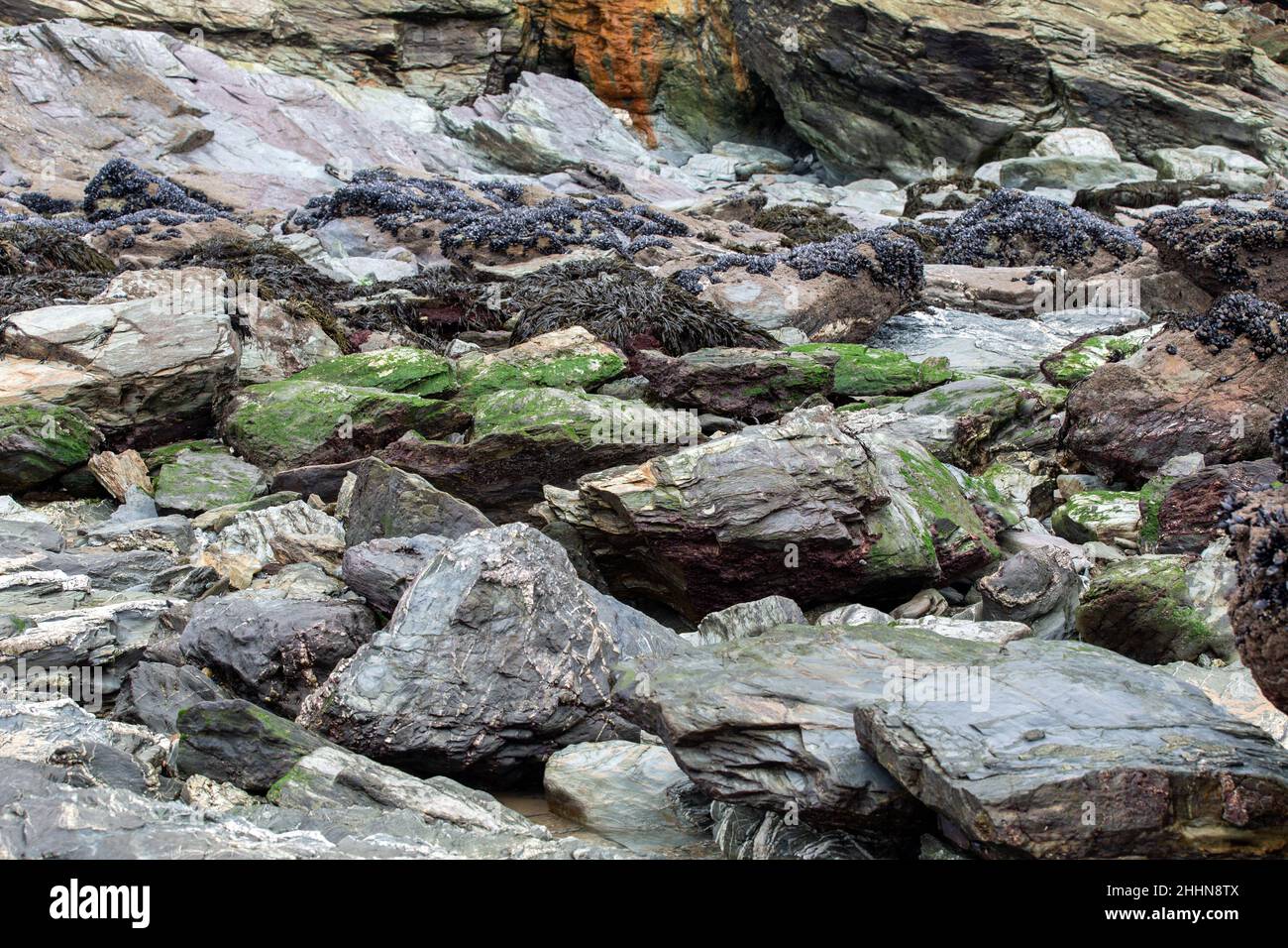 Rocks and stones on the beach at Watergate Bay, Cornwall, England Stock ...