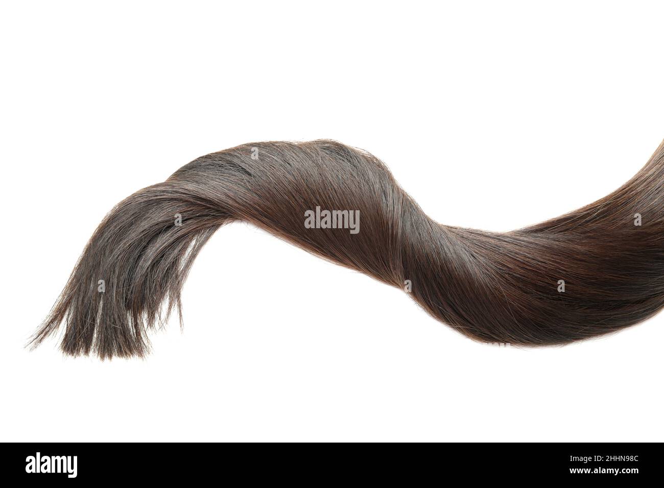 A lock of female hair on white background Stock Photo - Alamy