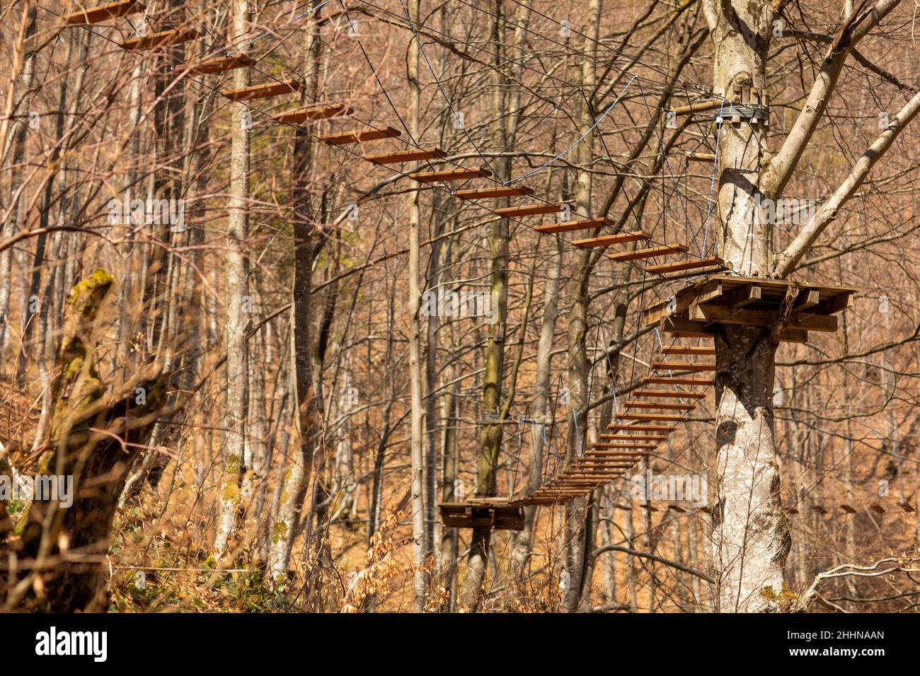 Rope park in the middle of the forest.Passing sports obstacles above ...