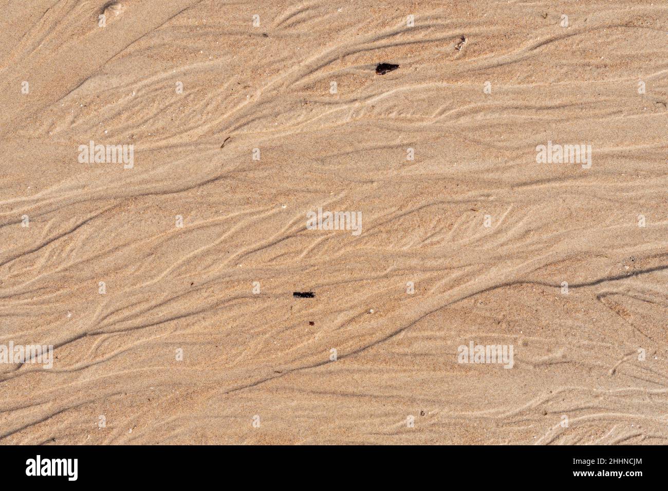 Abstract brown sandy background Stock Photo - Alamy