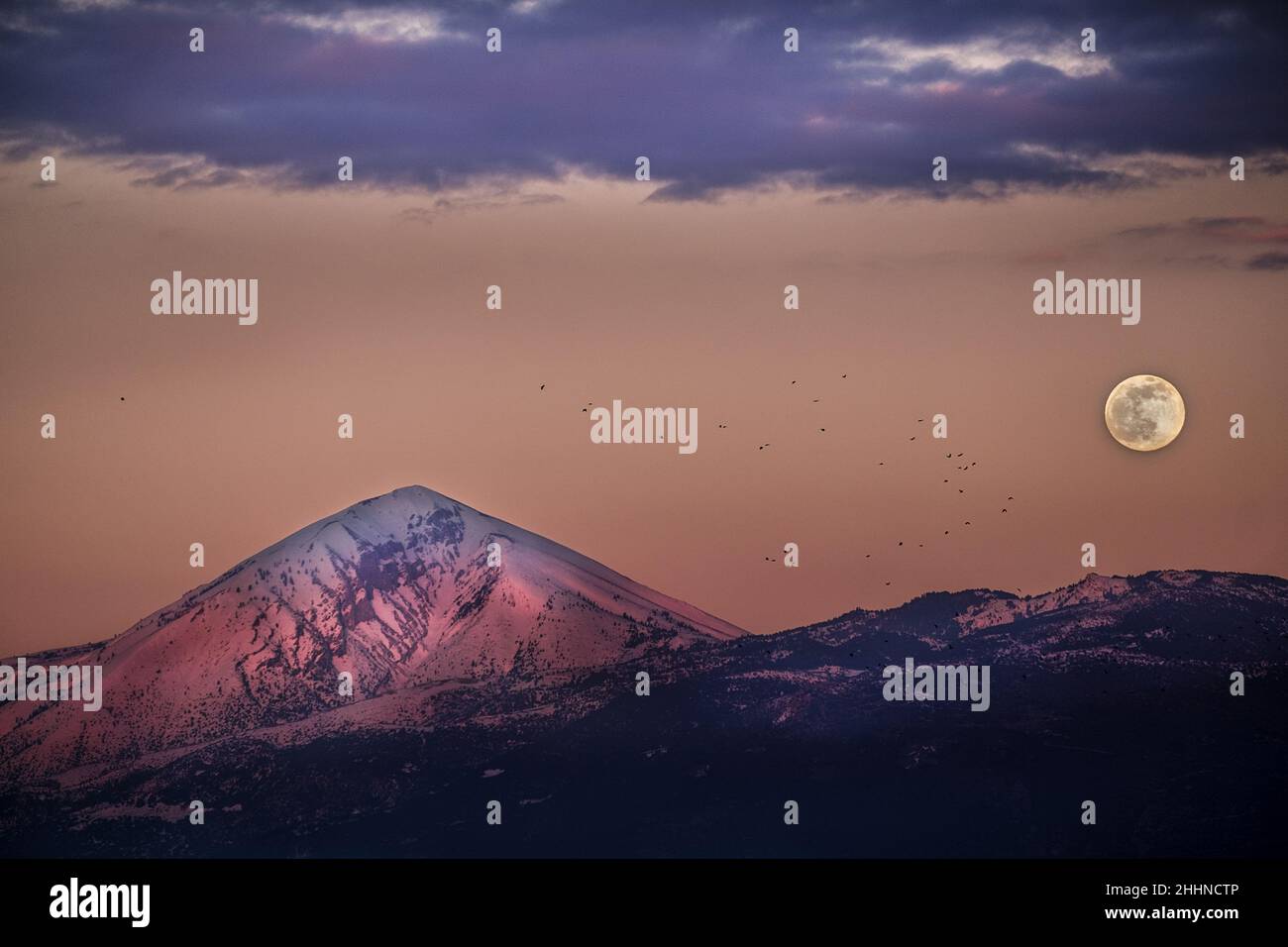 Landscape scenery of the moonrise (full moon) with birds flying over ...