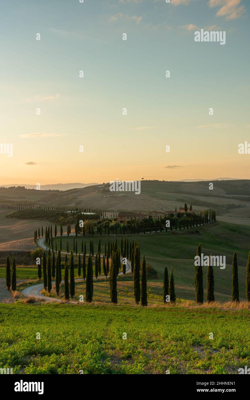 A wellknown Tuscan landscape with grain fields, cypresses and houses in ...