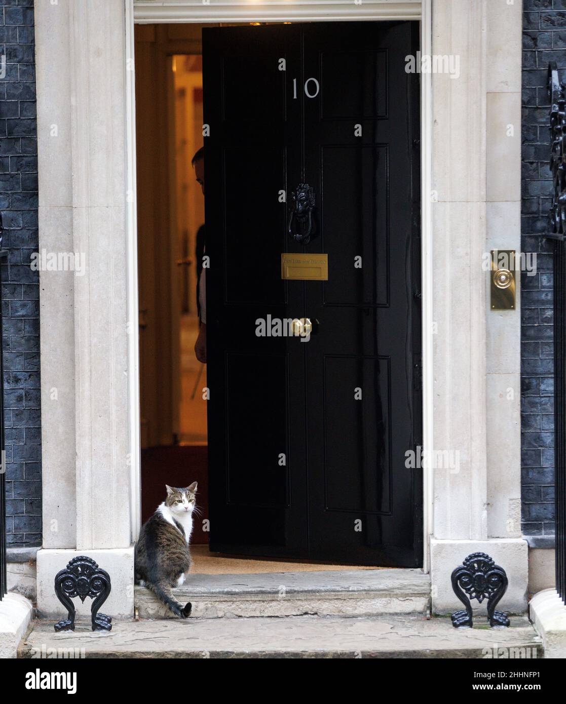 London, UK. 25th Jan, 2022. Larry The Cat at the door of Number 10 ...