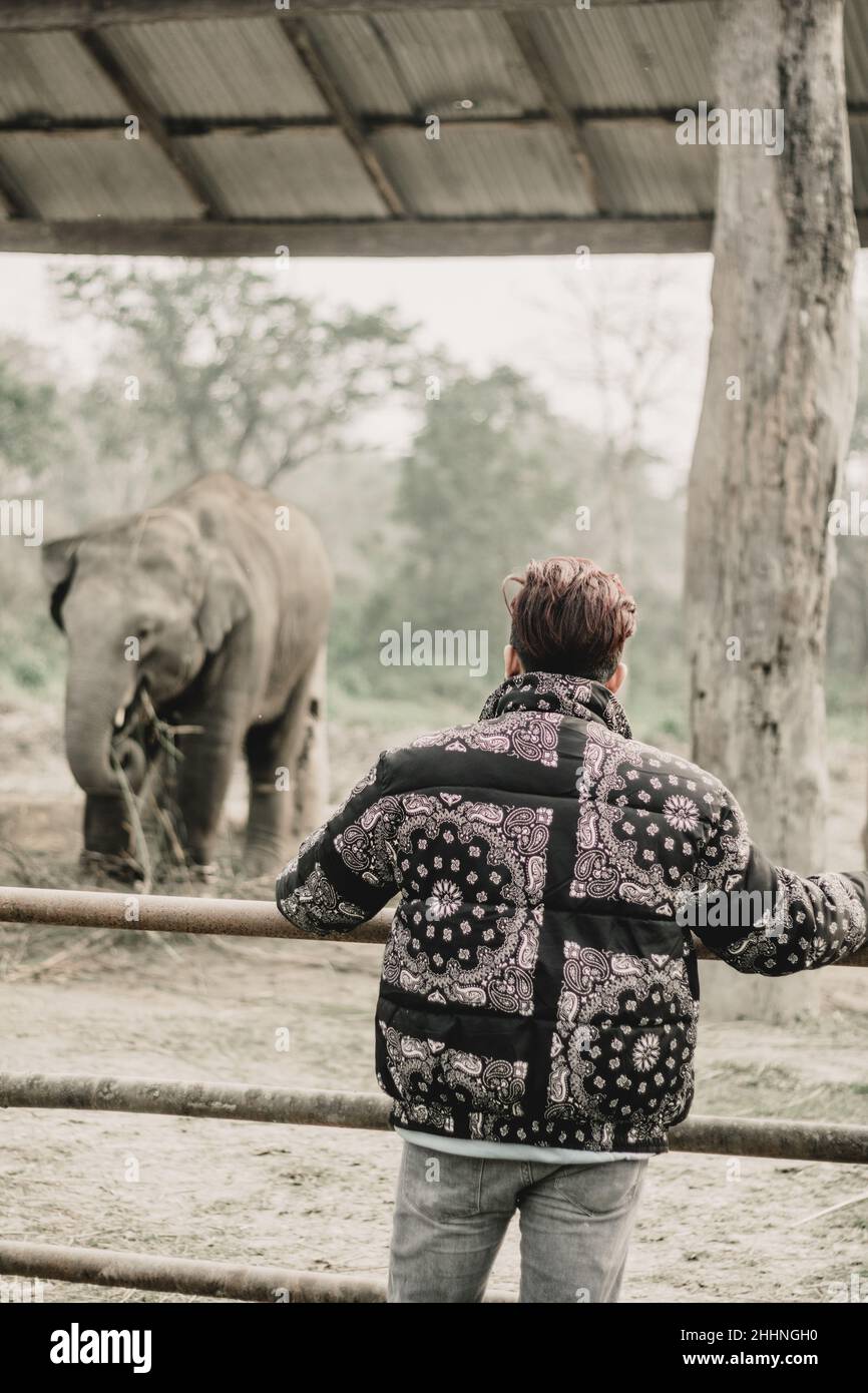 Elephant Breeding Center Chitwan,Nepal Stock Photo - Alamy