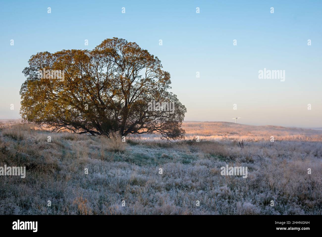 Frosty field hi-res stock photography and images - Alamy