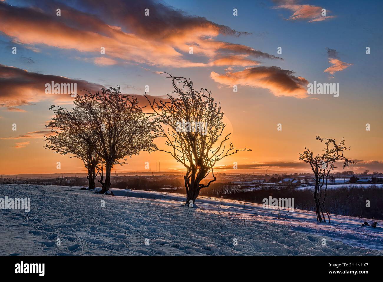 Nature Winter Sunrise
