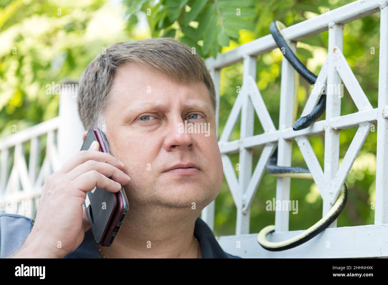 A black venomous snake on a metal fence crept up to a man talking on ...
