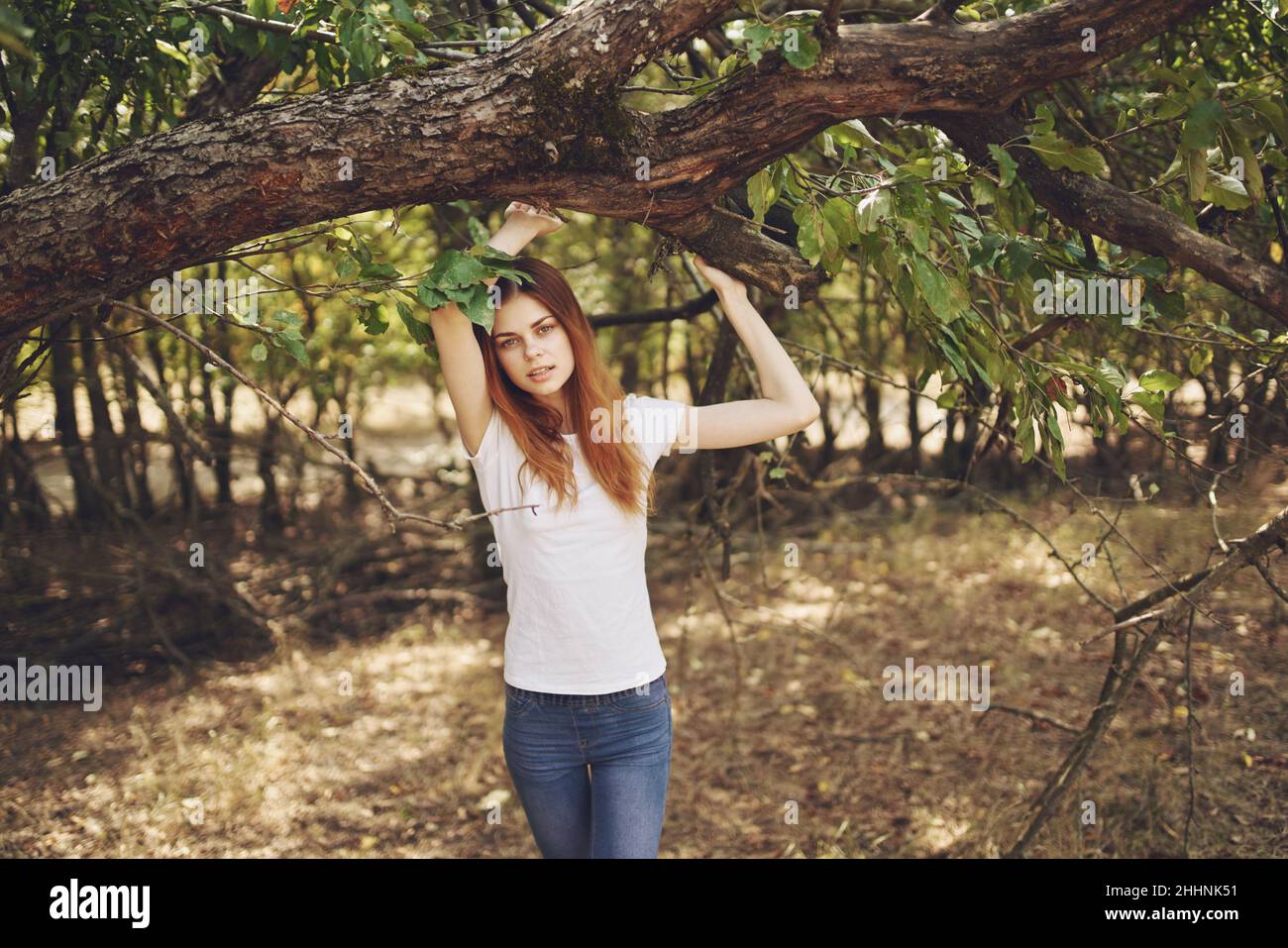 woman touching tree branch with hands on nature in summer garden Stock ...