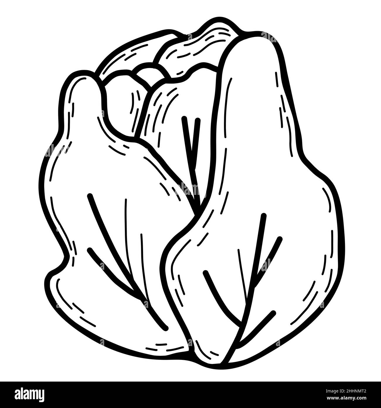 Pechay Clipart Black And White