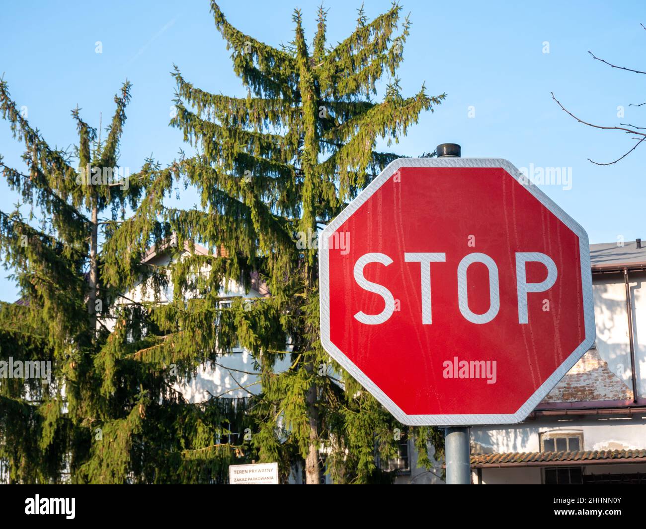 Stop red road sign on green trees background Stock Photo - Alamy