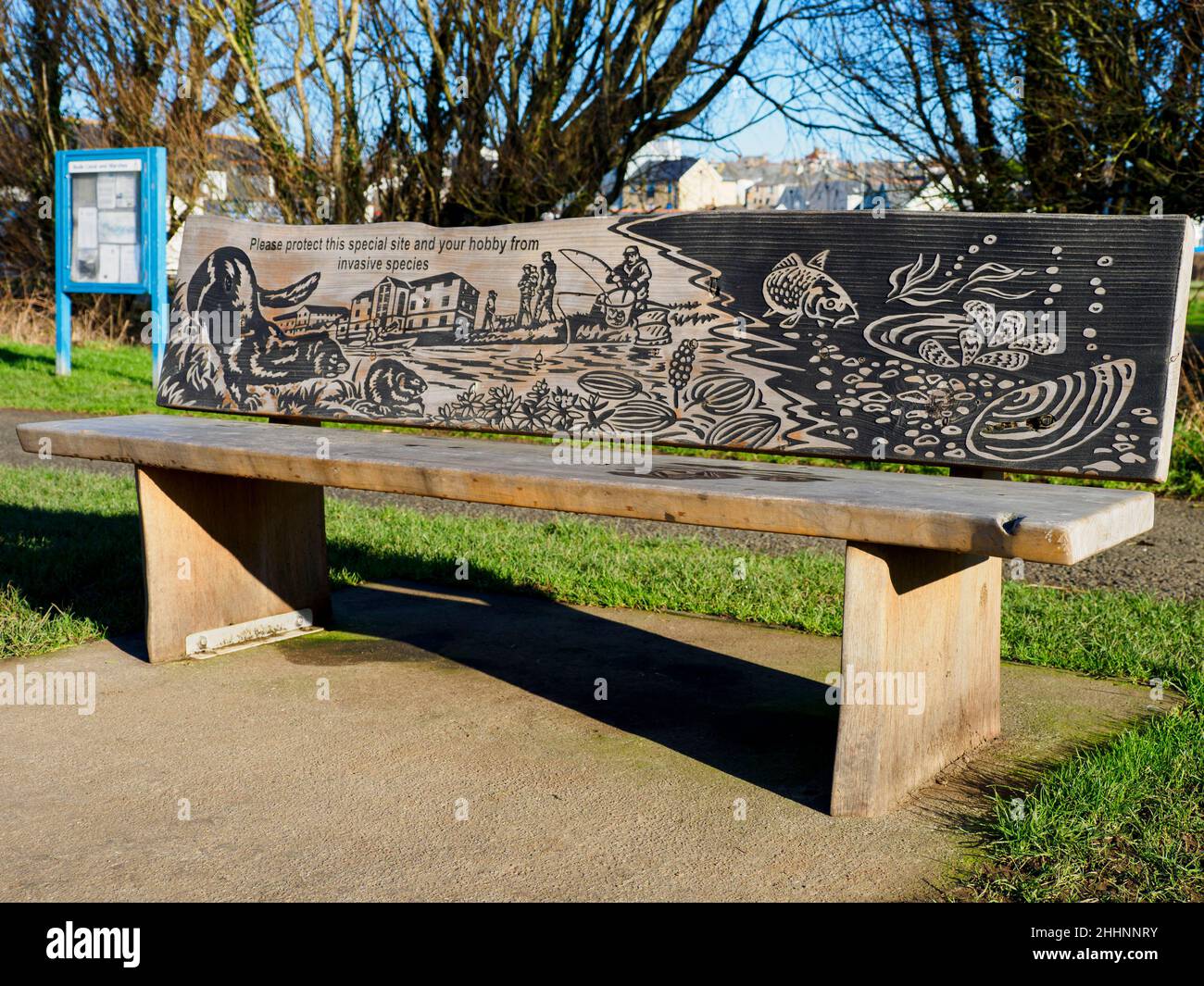 To celebrate the beginning of Invasive Species Week, a special bench ...