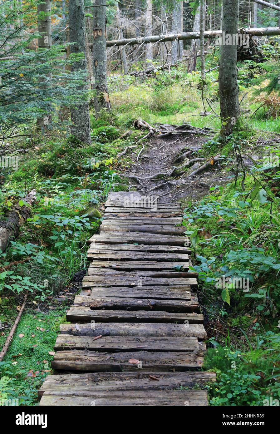 Old wooden footbridge hi-res stock photography and images - Alamy