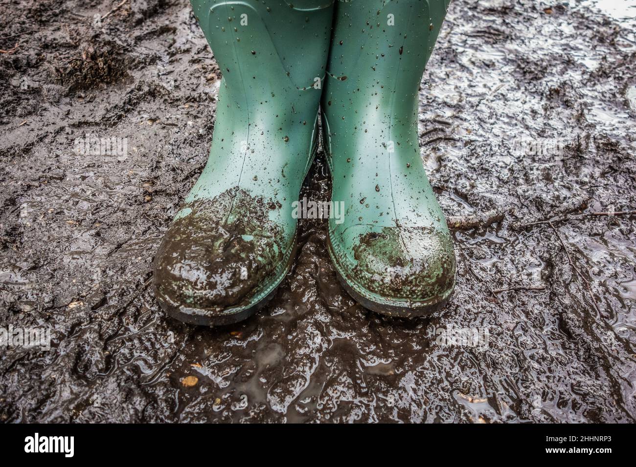 Muddy boots after a walk hi-res stock photography and images - Alamy