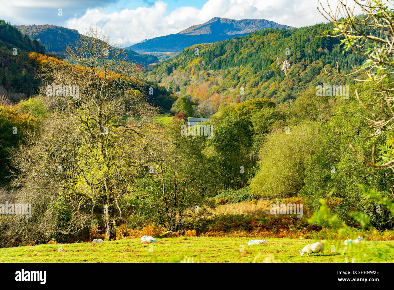 Conwy valley wales hi-res stock photography and images - Alamy