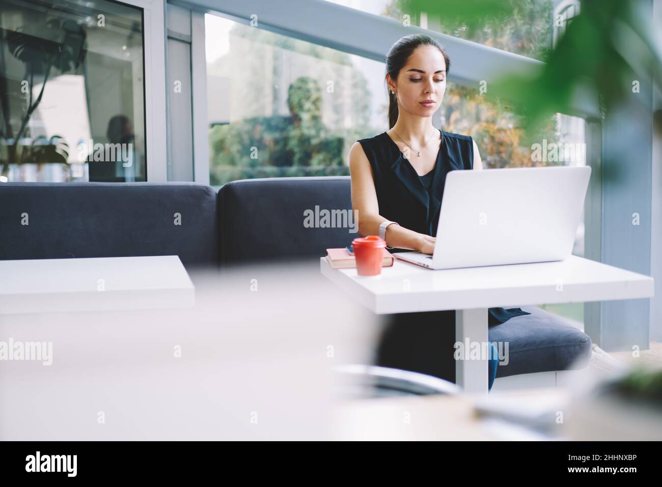 Concentrated woman surfing laptop during workday Stock Photo - Alamy