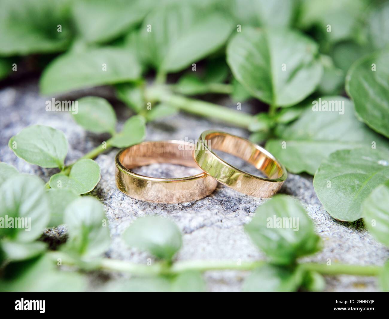 Wedding rings on stone surface with fresh greenery. Summer wedding ...