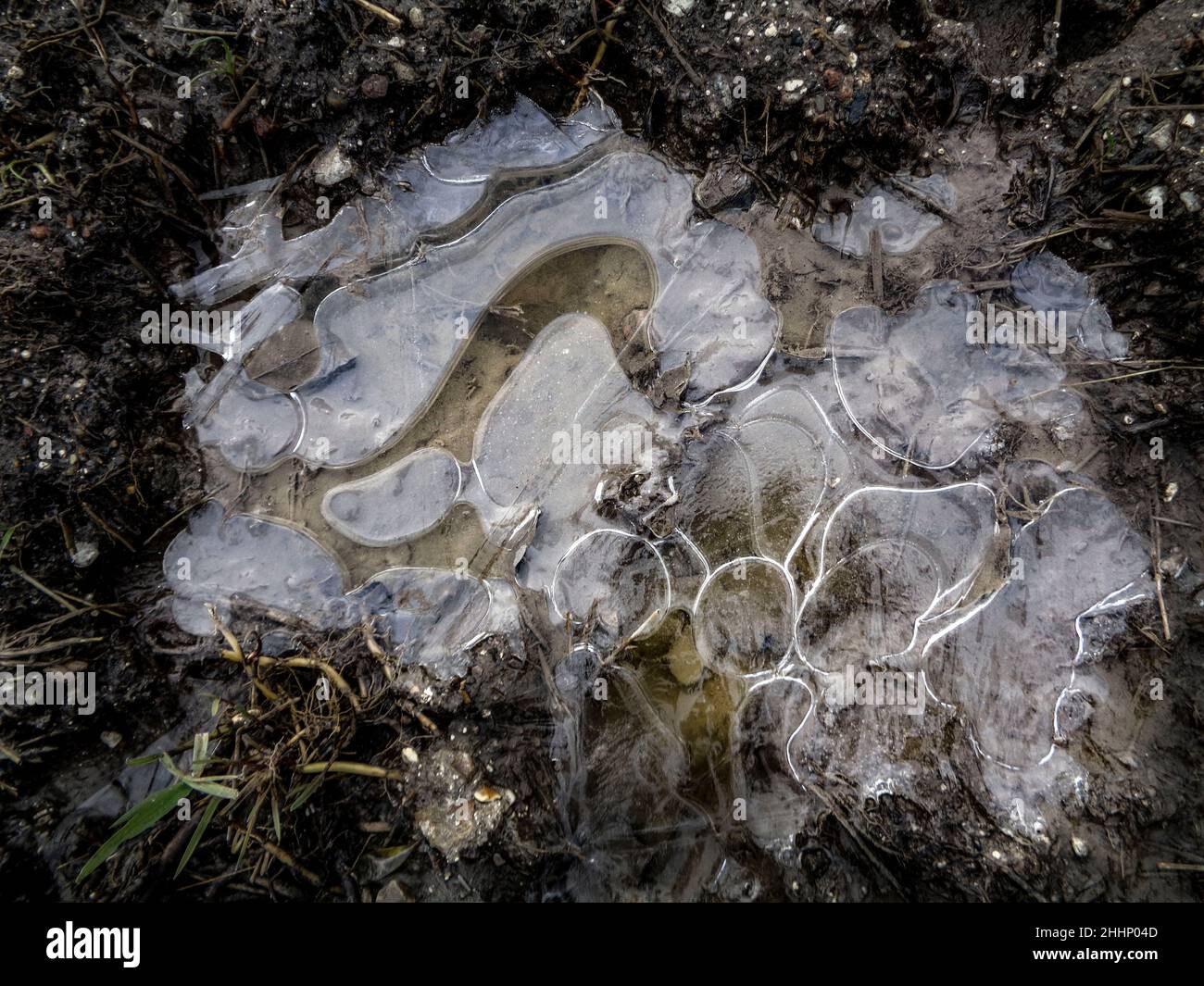 Macro semi-abstract Frozen water patterns, natural environmental ...
