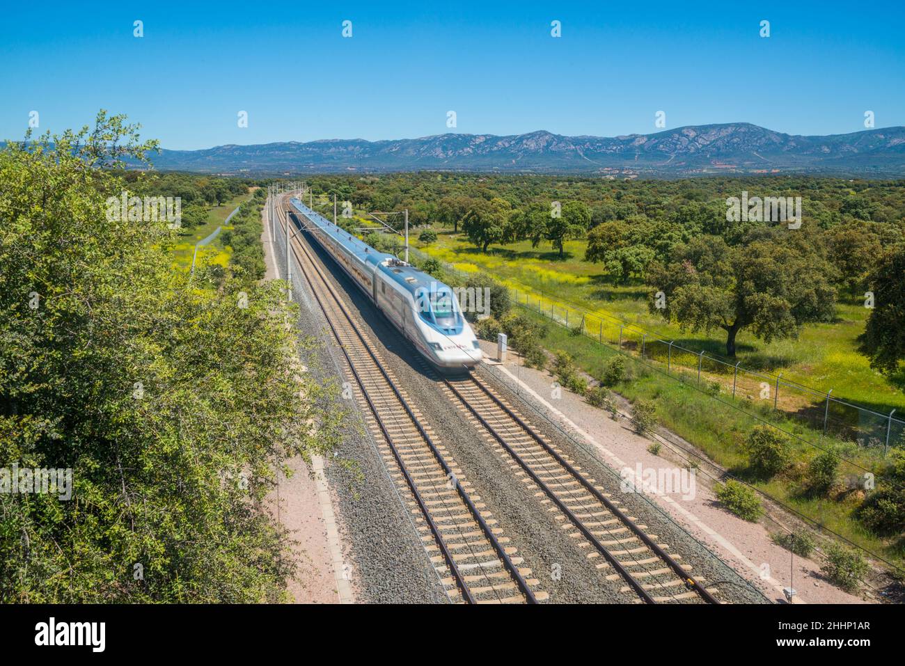 Ave trenes de alta velocidad hi-res stock photography and images - Alamy