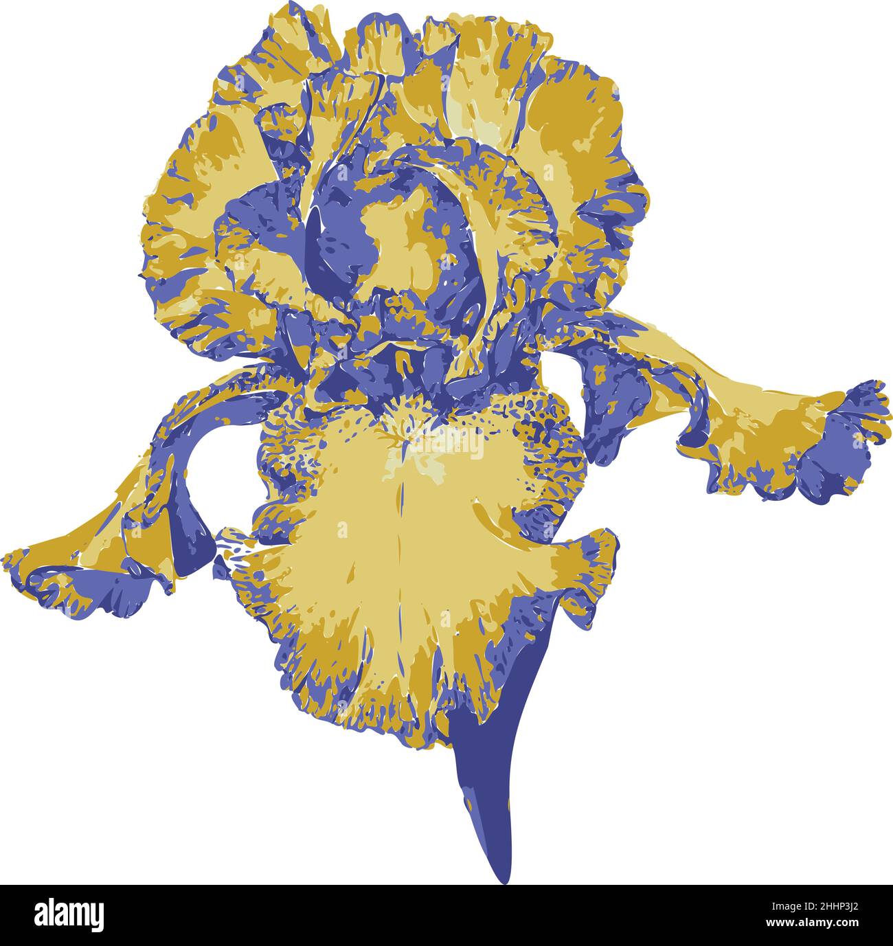 Iris flower drawing hi-res stock photography and images - Alamy