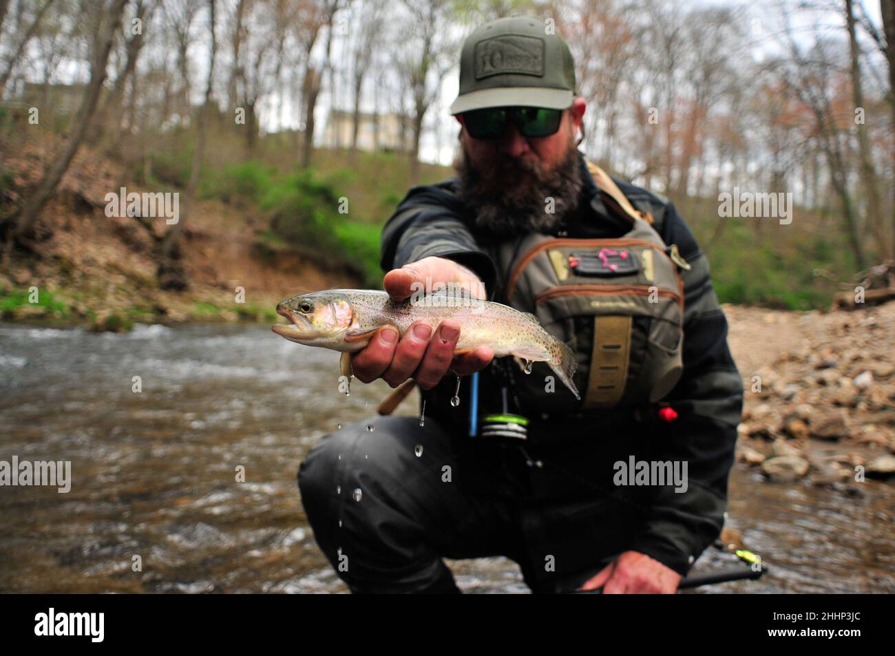 Trout fly fishing in Pennsylvania creeks Stock Photo - Alamy