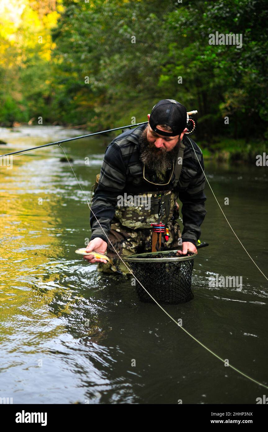 Trout fly fishing in Pennsylvania creeks Stock Photo - Alamy