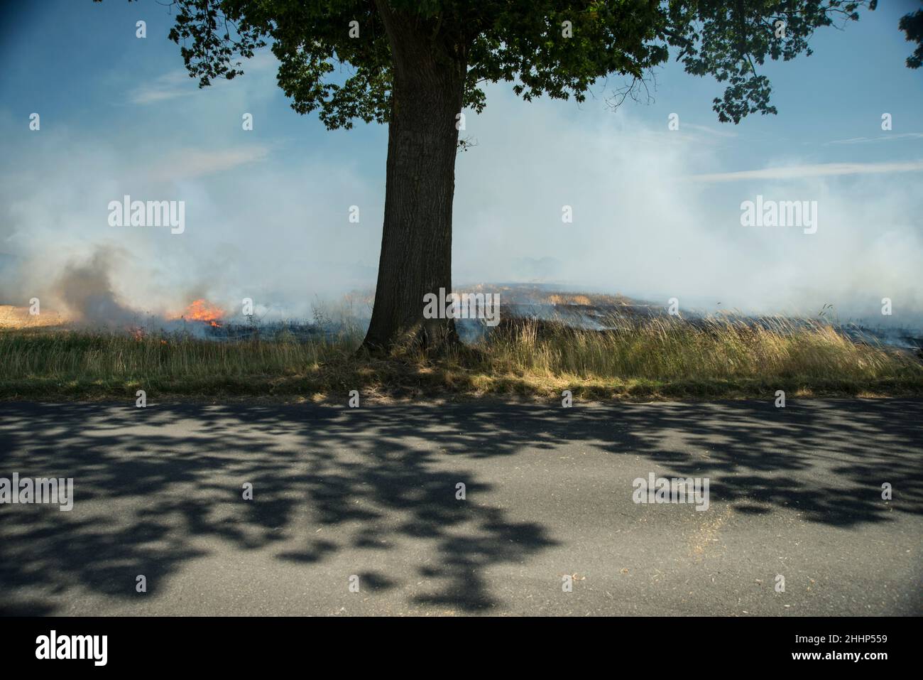 A field is bursting into flames Stock Photo - Alamy