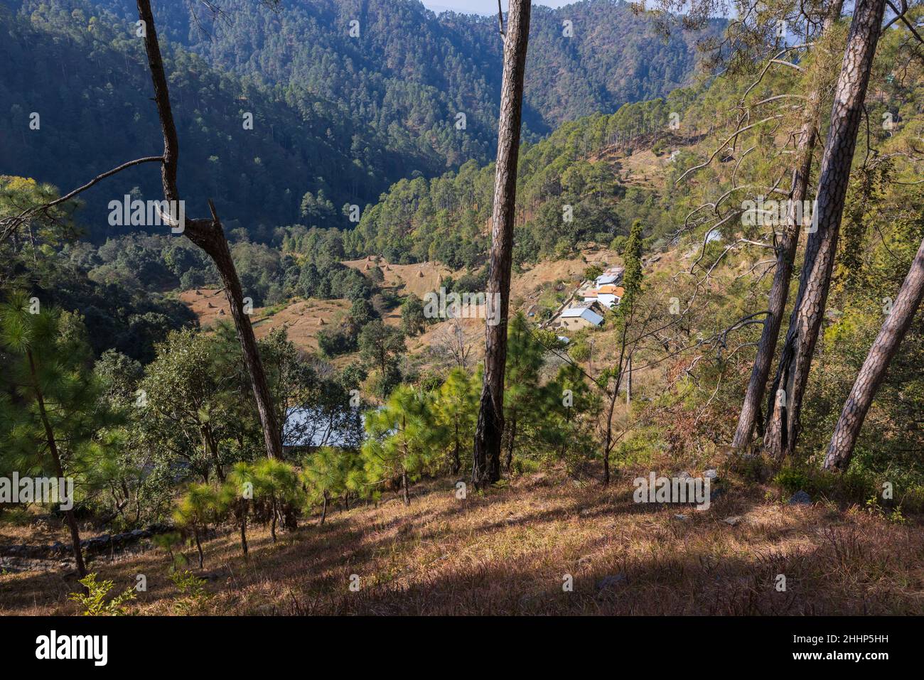 Binsar village hi-res stock photography and images - Alamy