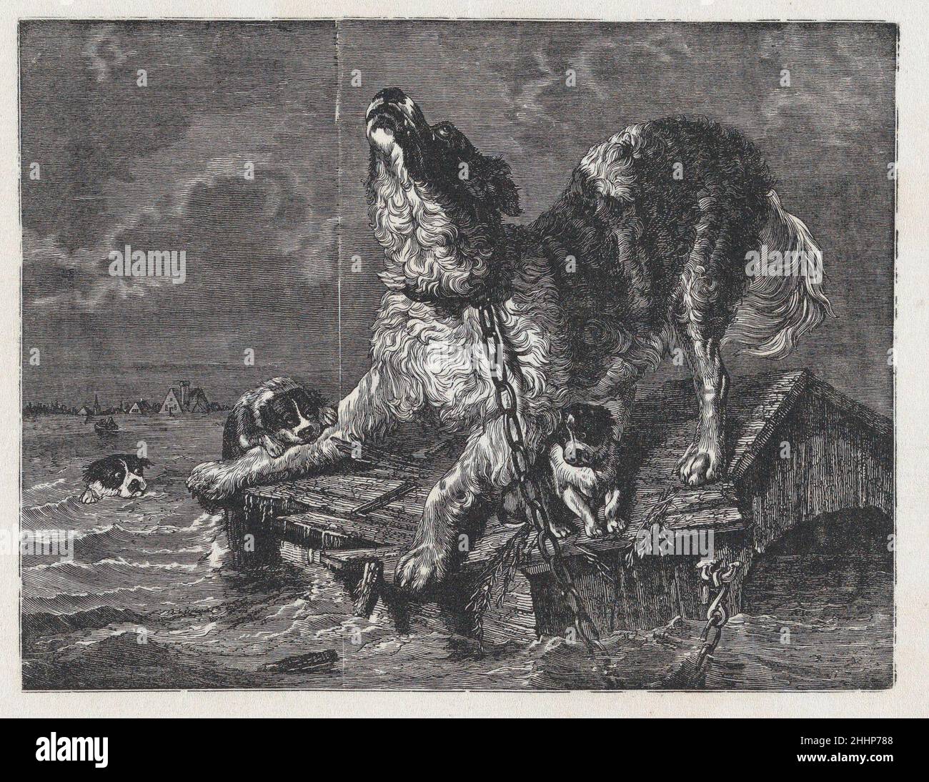 A large chained dog howling while puppies try to climb onboard a ...