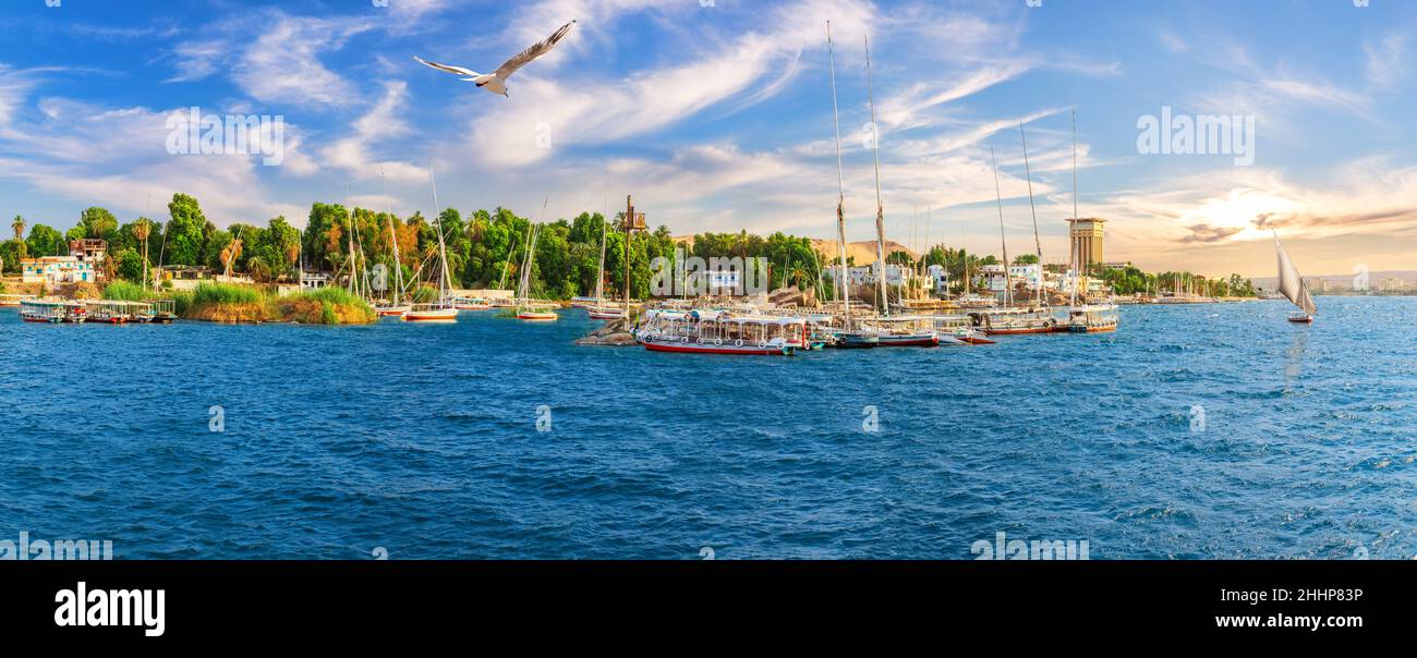 Nile scenery with boats and Aswan landscape, Egypt Stock Photo - Alamy