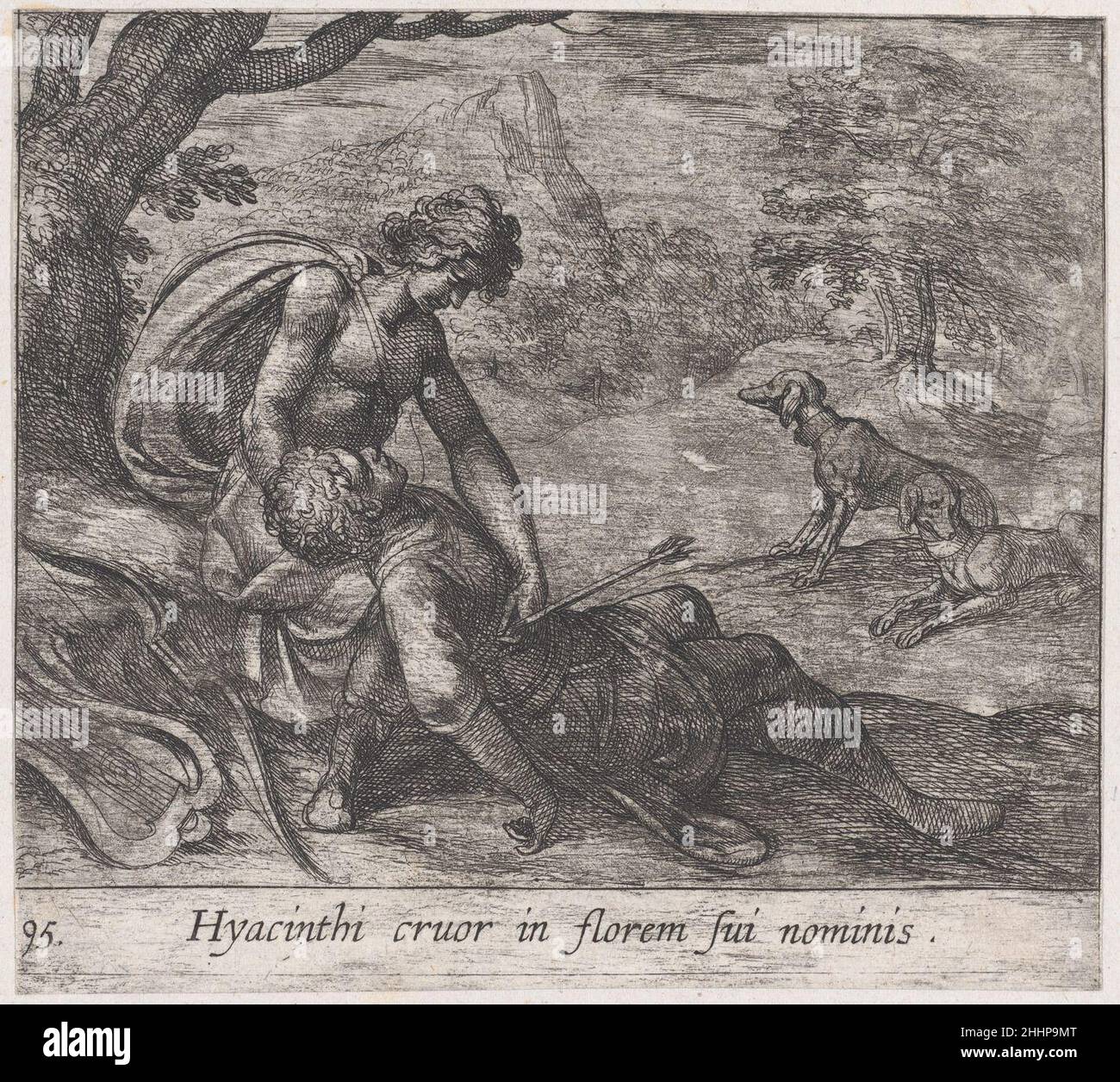 Plate 95: The Death of Hyacinthus (Hyacinthi cruor in florem sui ...