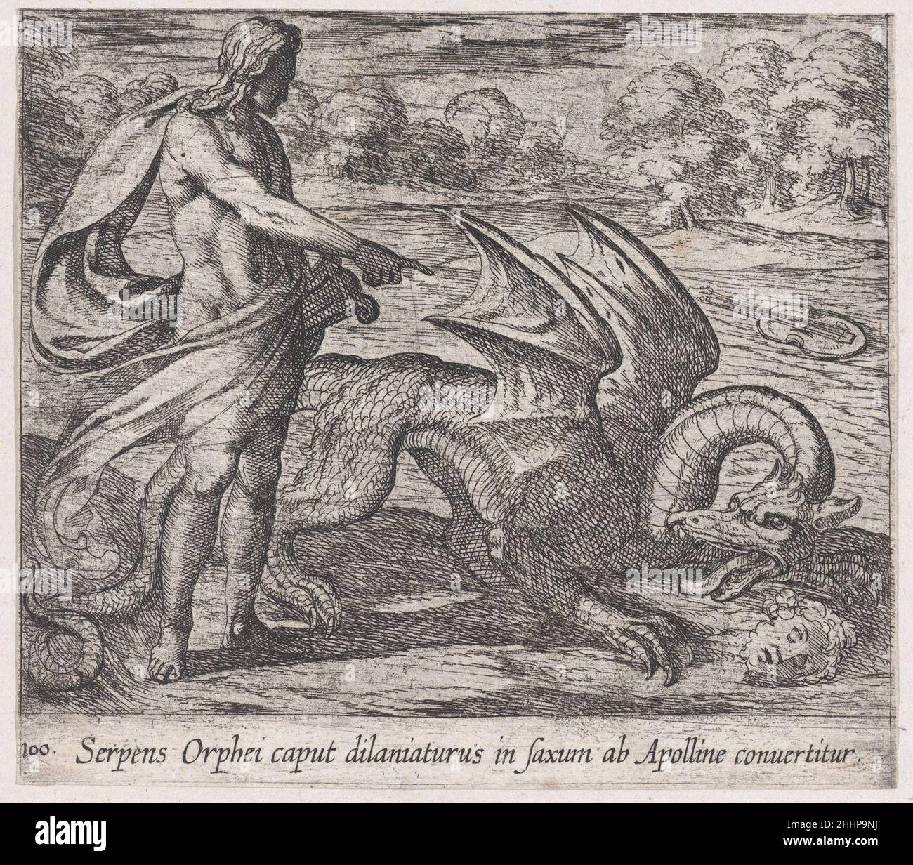 Serpens orphei hi-res stock photography and images - Alamy