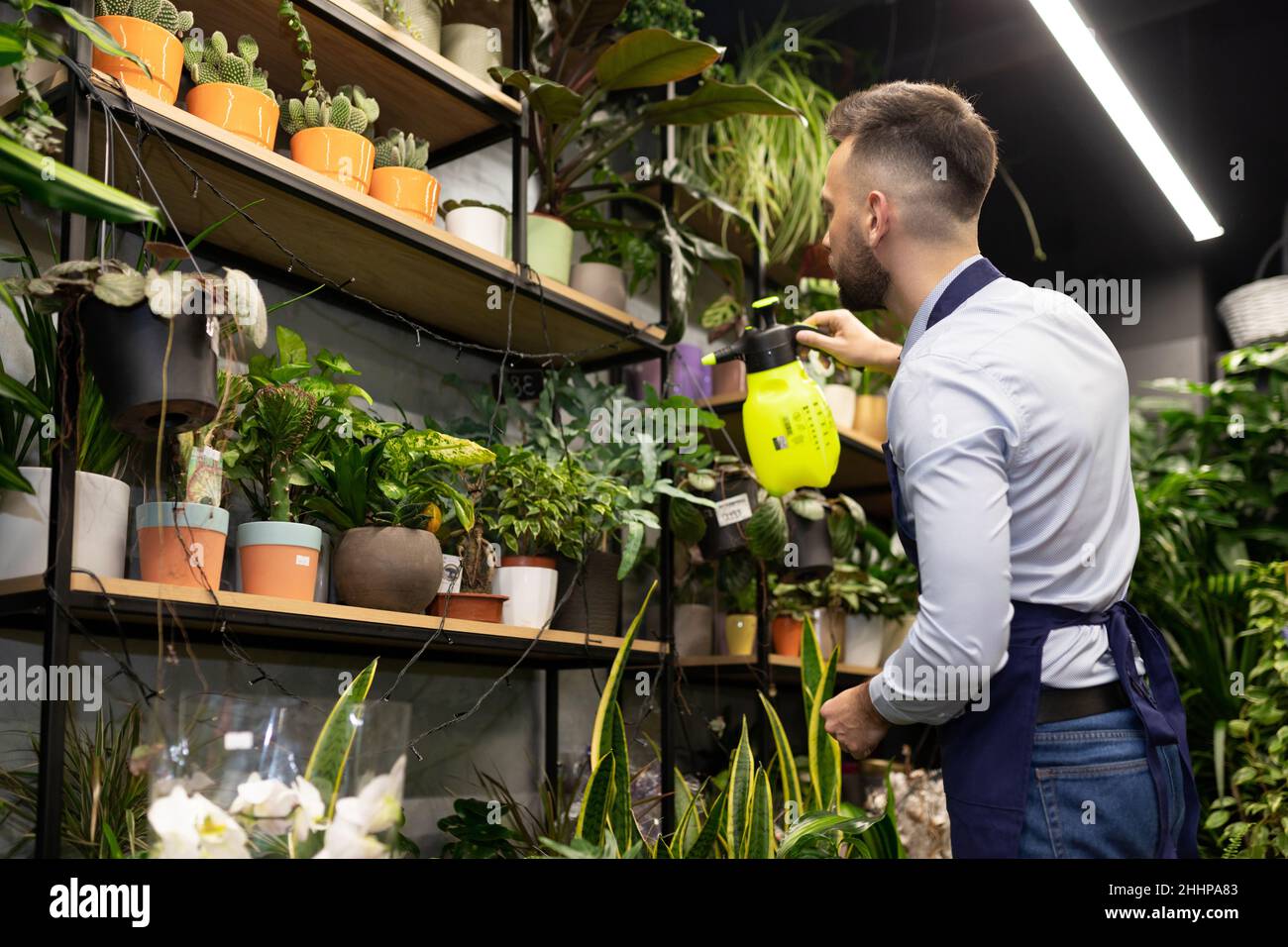 Greenhouse male florist watering plants hi-res stock photography and ...