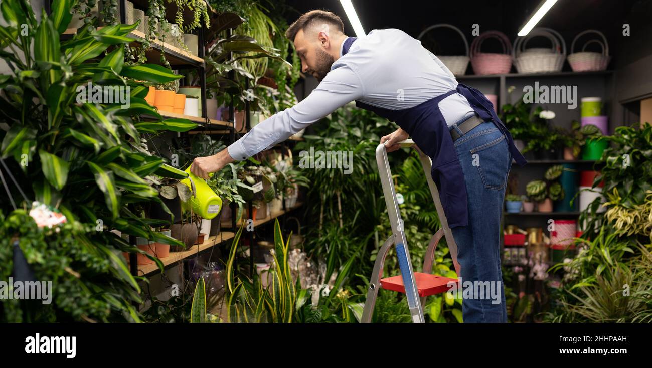 Tending potted plants gardener floral hi-res stock photography and ...