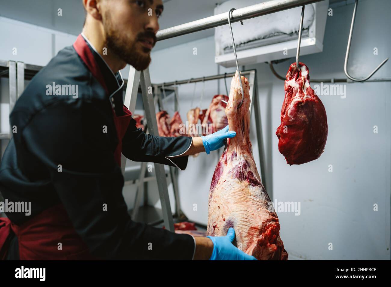 Meat hanging on hook hi-res stock photography and images - Alamy