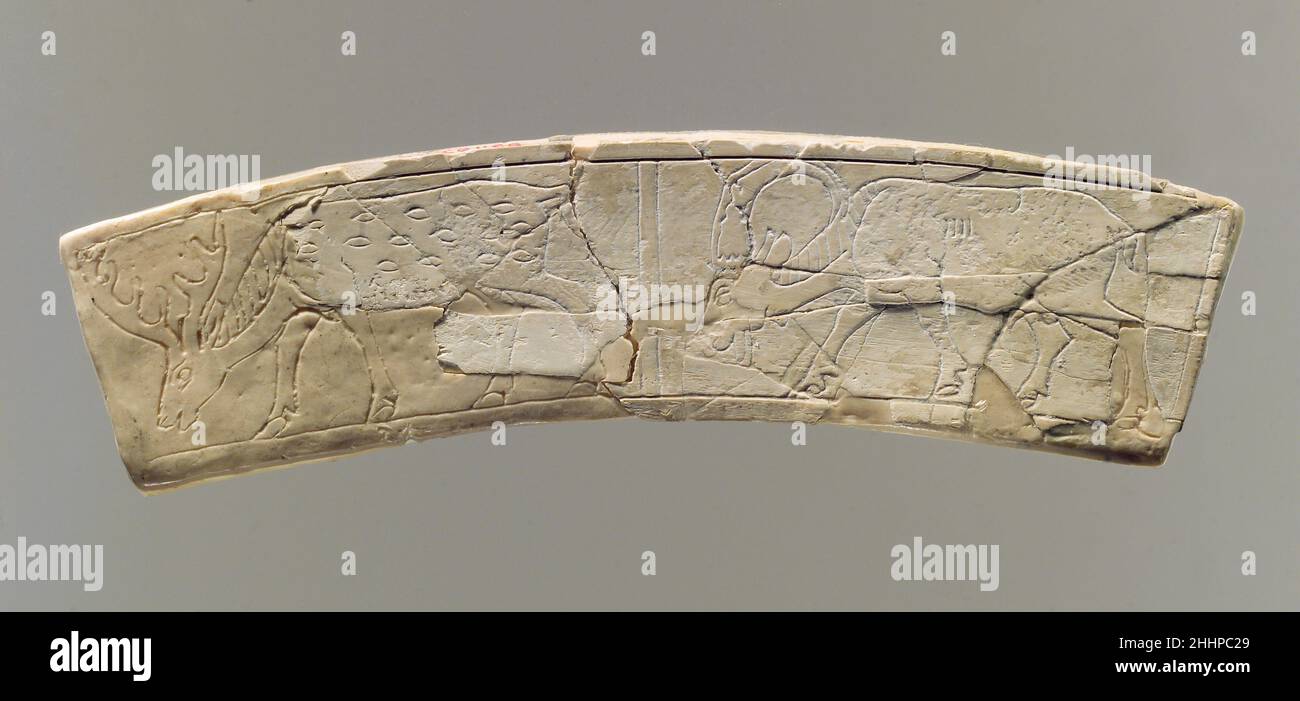 Backwards curving horns hi-res stock photography and images - Alamy