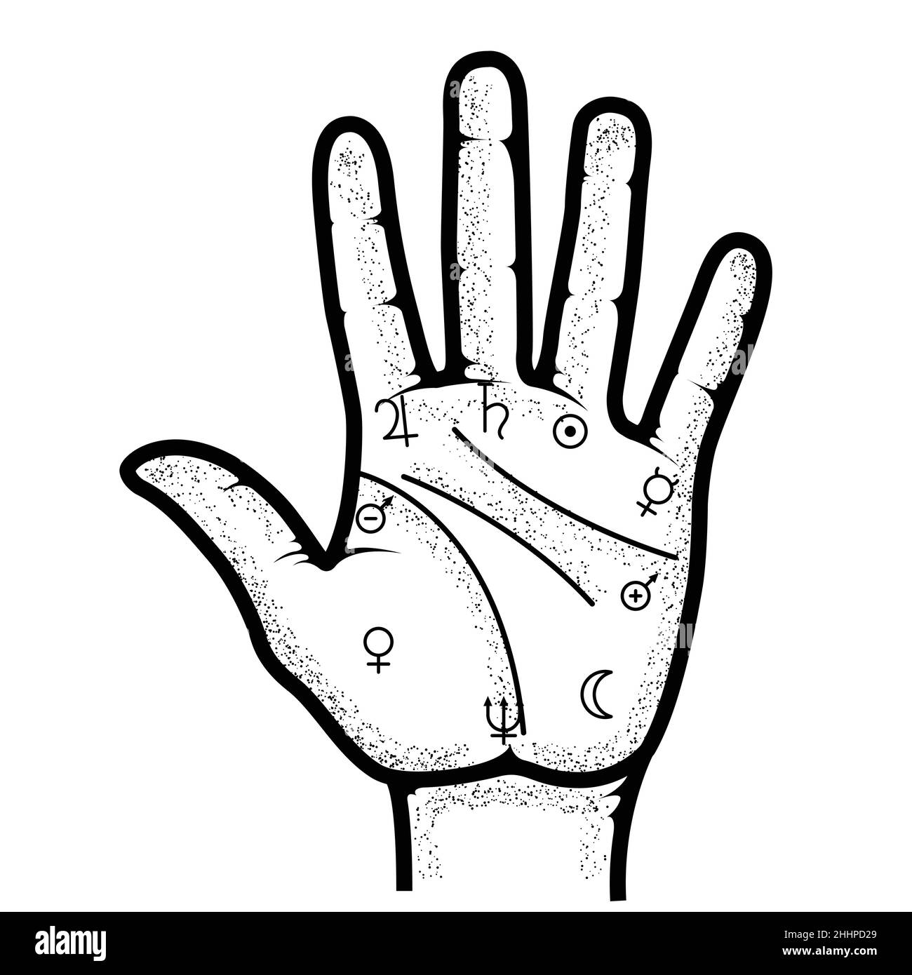Lines on palm hand Stock Vector Images - Alamy