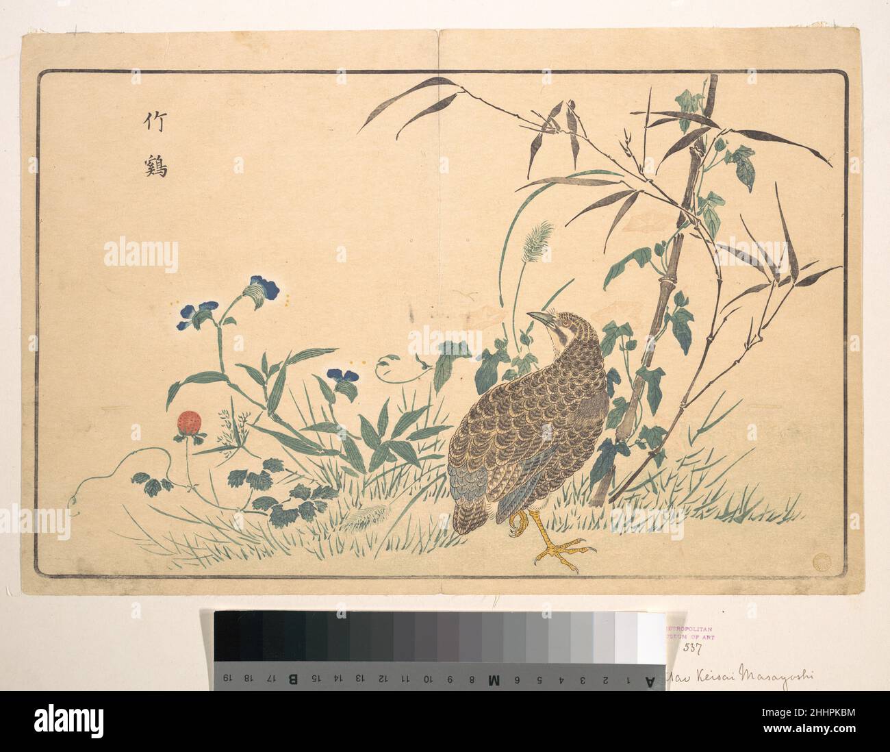Zhu ji 1789 Kuwagata Keisai Japanese. Zhu ji 36988 Stock Photo - Alamy